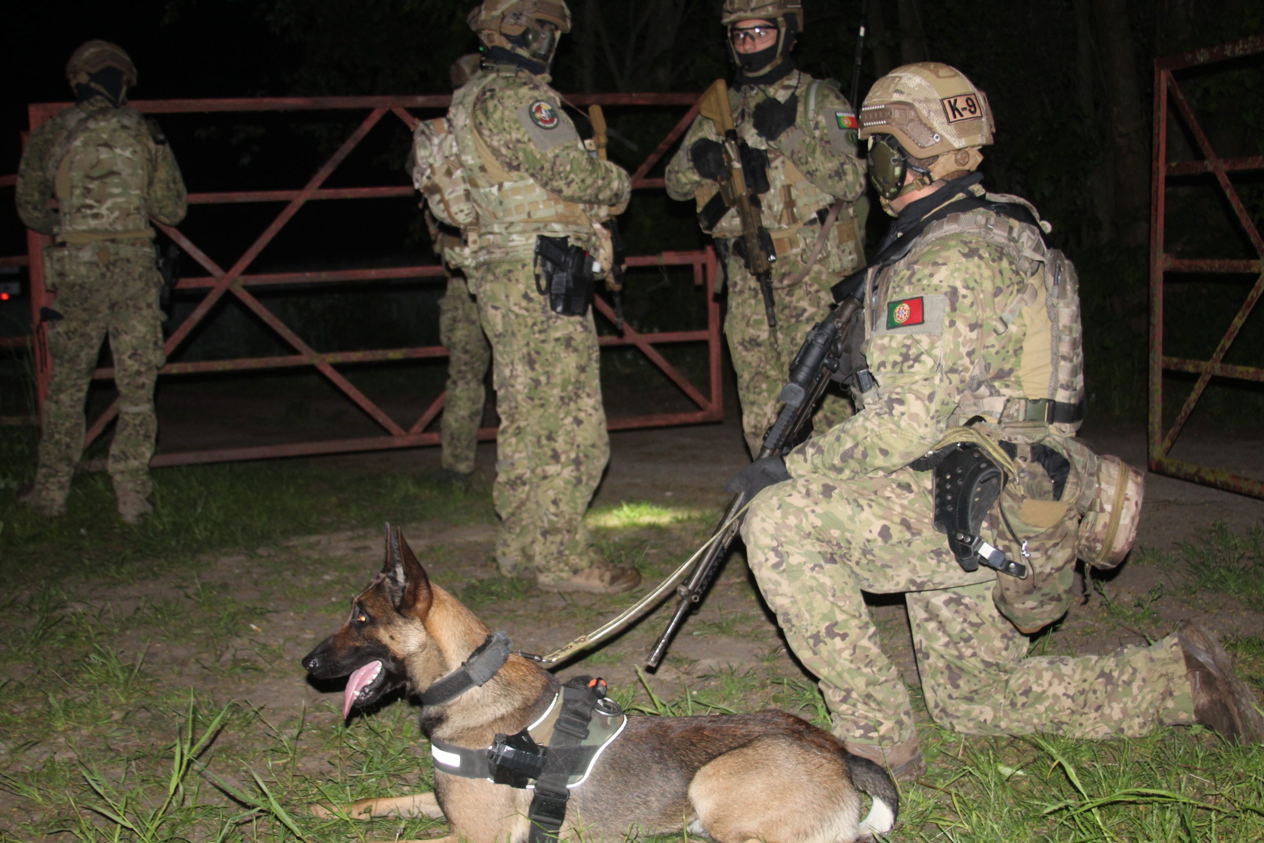 Inside the Portuguese Marine Corps’ Canine Unit - Cyno-Ops